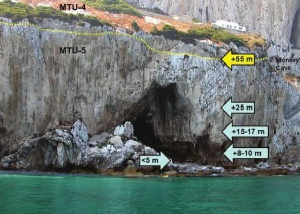Neanderthal bones found in Gibraltar cave - InSpain.news